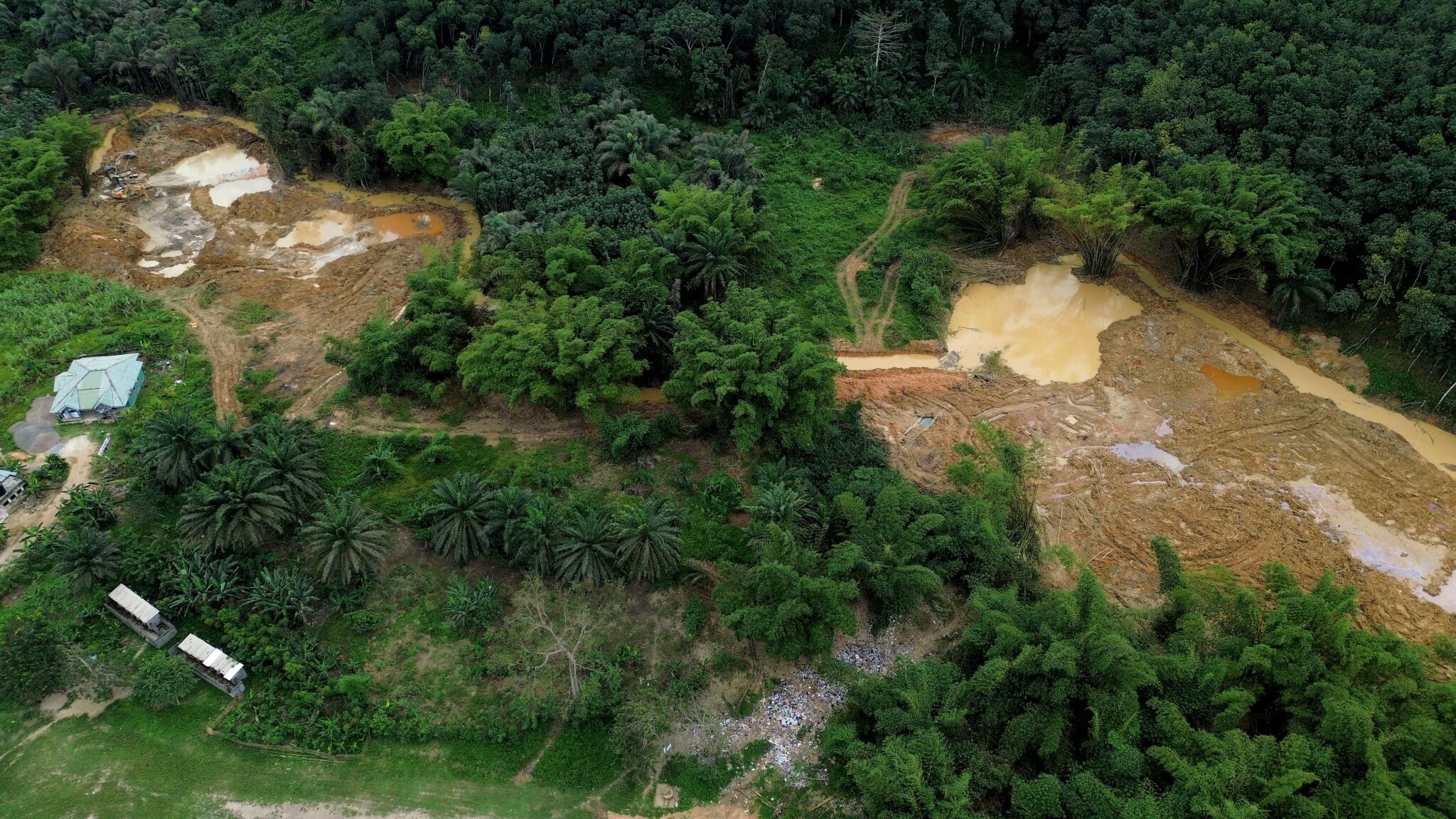 How illegal gold mining is devastating Ghana's forests - Ghana Business ...