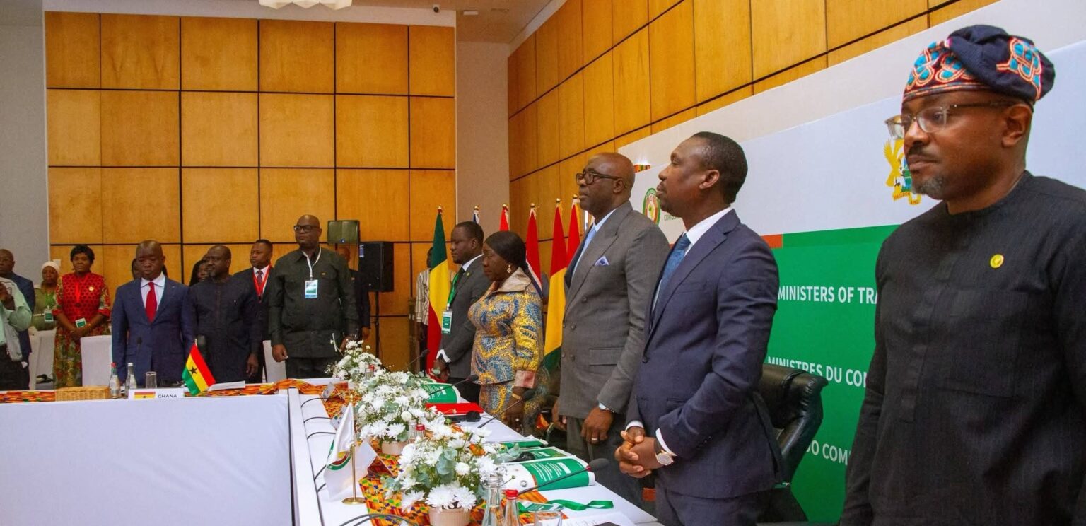 ECOWAS unites on minerals, industrialisation to power AfCFTA - Ghana ...