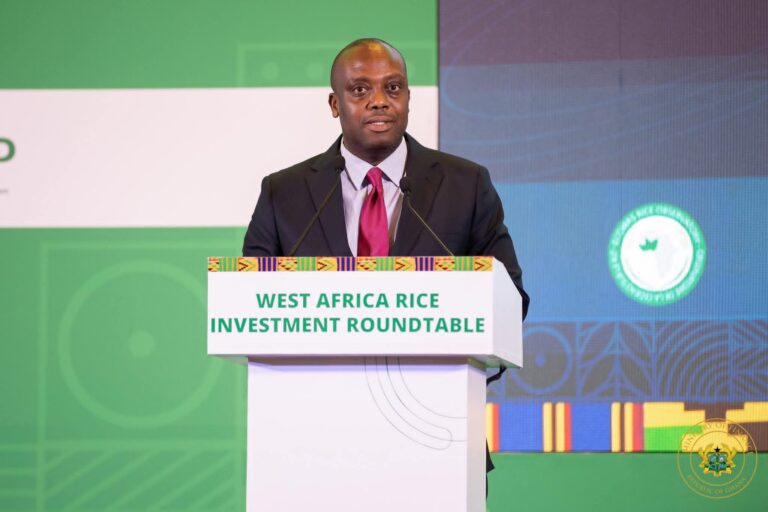 Minister urges long-term investment to transform Ghana's rice sector ...